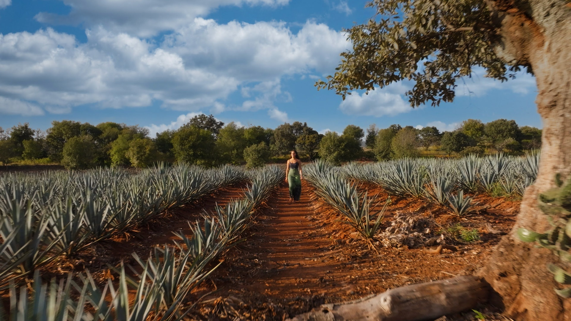 Visita Jalisco - Turismo en Jalisco, México